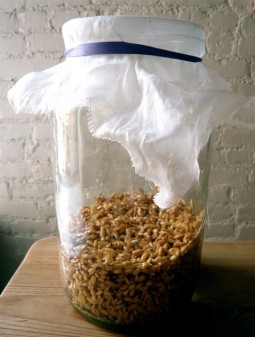 Sprouted spelt bread with seeds - Amy Chaplin